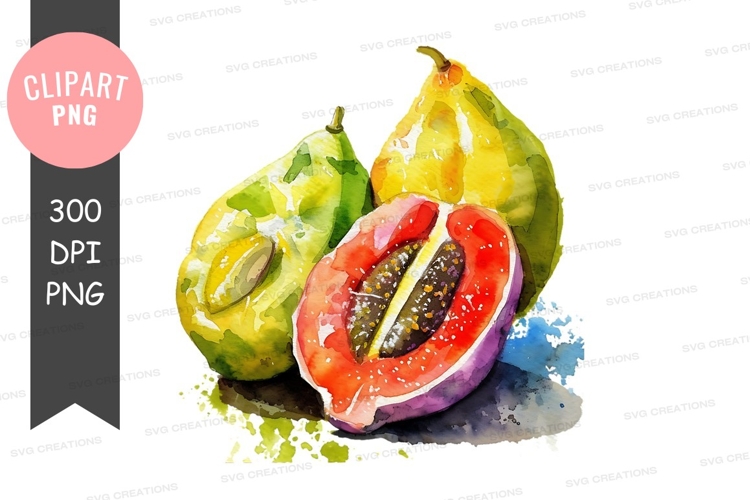 Exotic fruits clipart png (6473669)