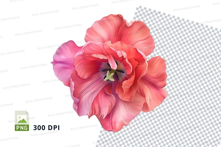 Pink tulip clipart png (6492214)