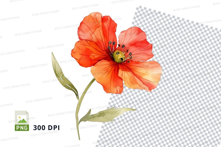 Vibrant orange poppy flower (6493766)