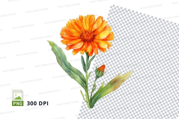 Bright orange flower clipart png (6498163)