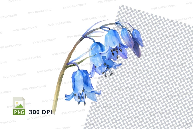 Bluebell flowers clipart png (6498345)