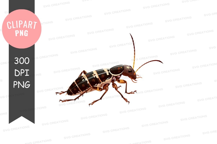 Brown and black insect clipart png