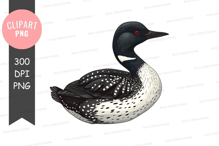 Loon bird clipart png (6451013)