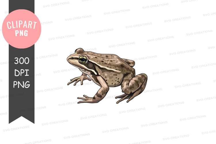 Brown frog clipart png (6451015)