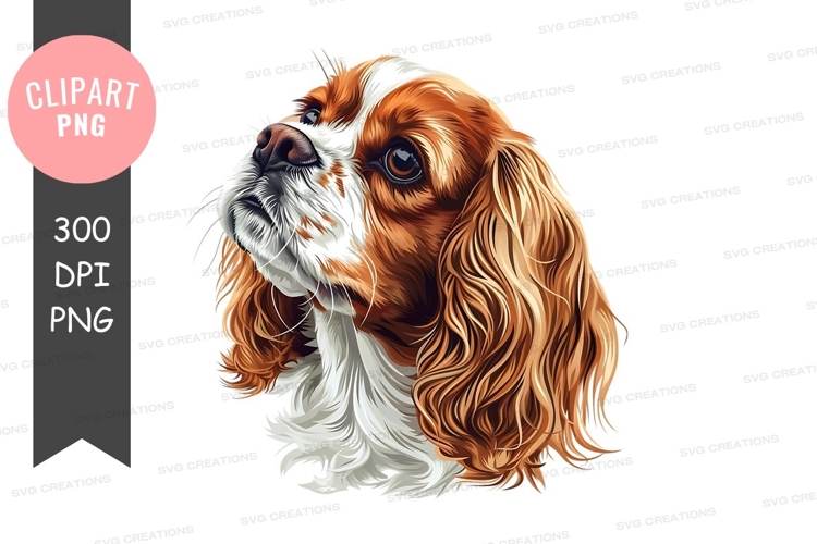 Portrait of a cavalier king charles spaniel (6451281)