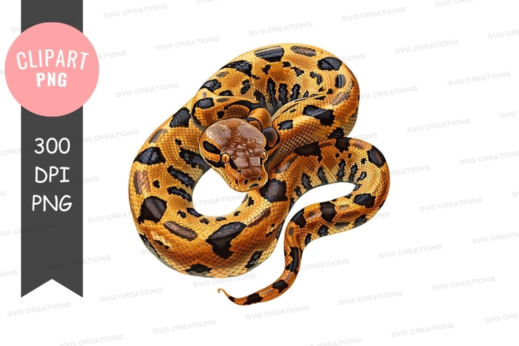 Golden snake clipart png