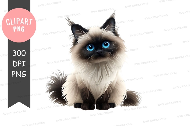 Beautiful siamese cat clipart png (6451646)