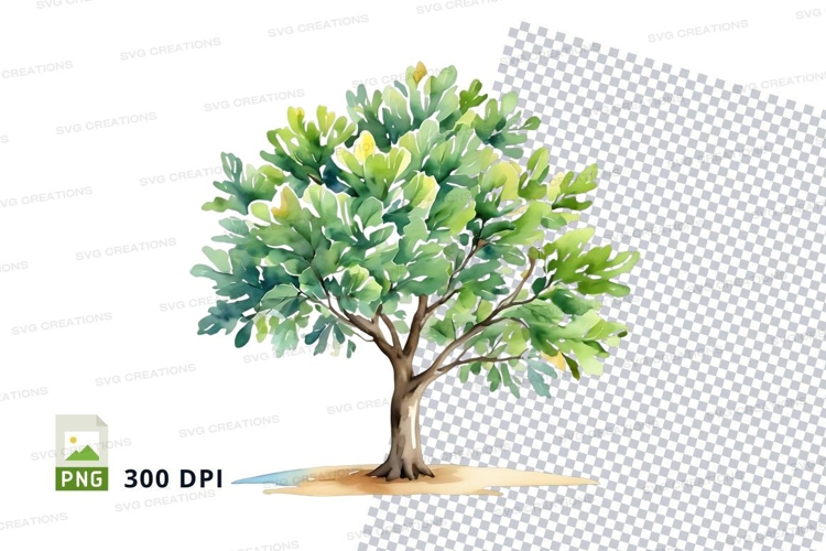Watercolor tree clipart png (6550006)