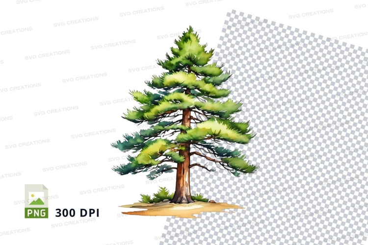 Pine tree clipart png (6550104)
