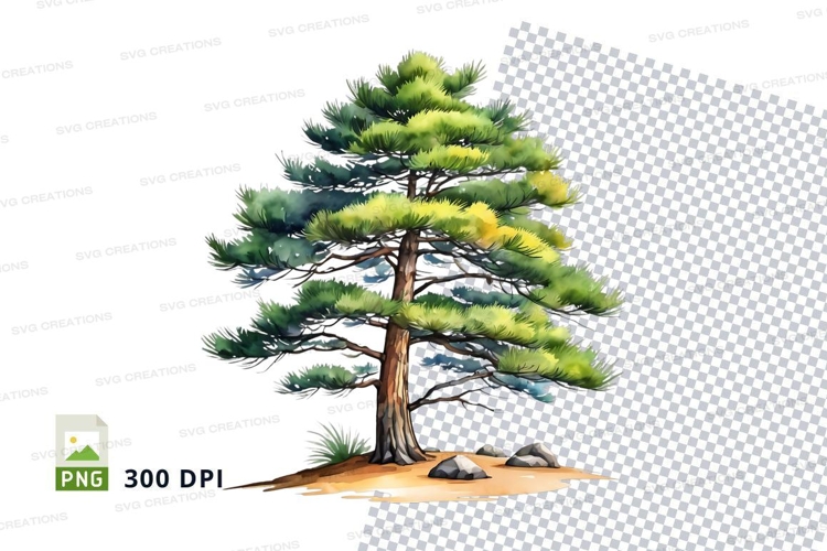 Pine tree clipart png (6550179)