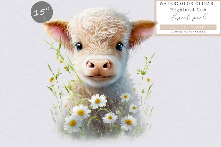 Highland cub clipart, Baby cow clipart, Highland cow