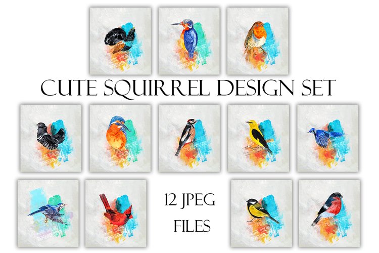 Set of cute birds, 3 files, boho style watercolor