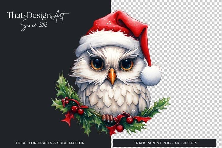 Cute Snow owl Christmas Animal clipart PNG, baby animals