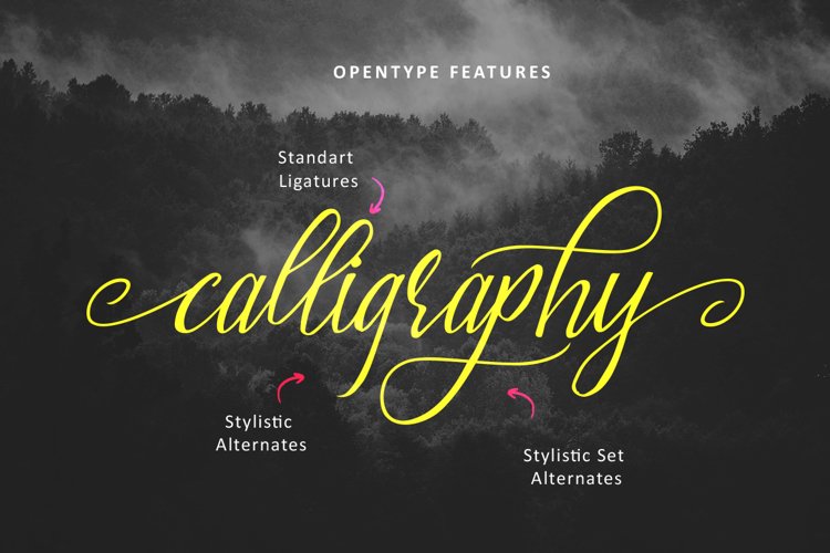 Brightside Typeface - Free Font of The Week | Font Bundles