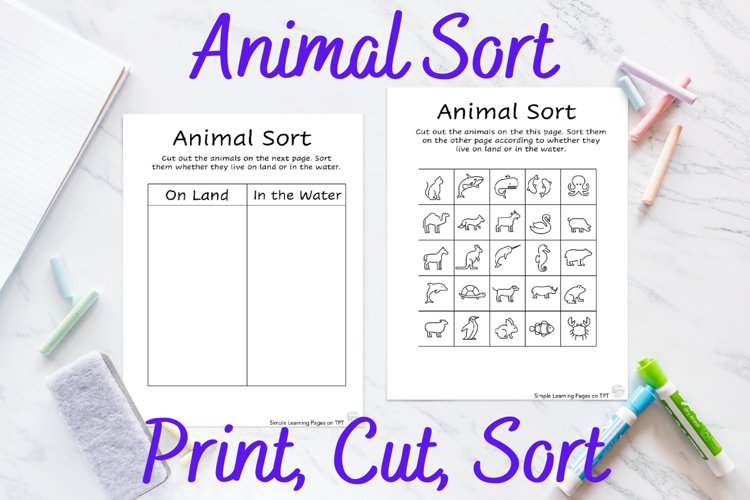 Animal Sort