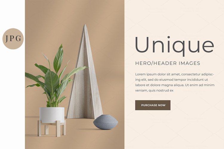 Interior Header Hero Mockup Bonus Card, JPG (2219788)