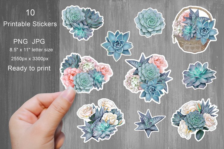 Succulents Stickers. Floral Design Stickers.