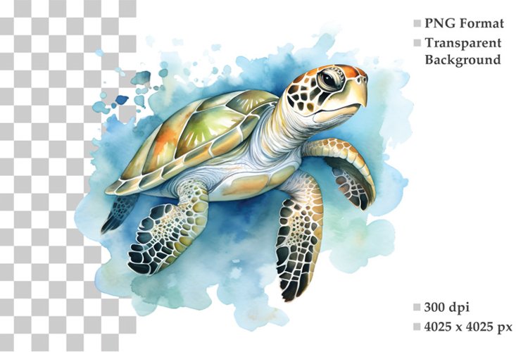 Watercolor Sea Turtle Clipart (3397097)