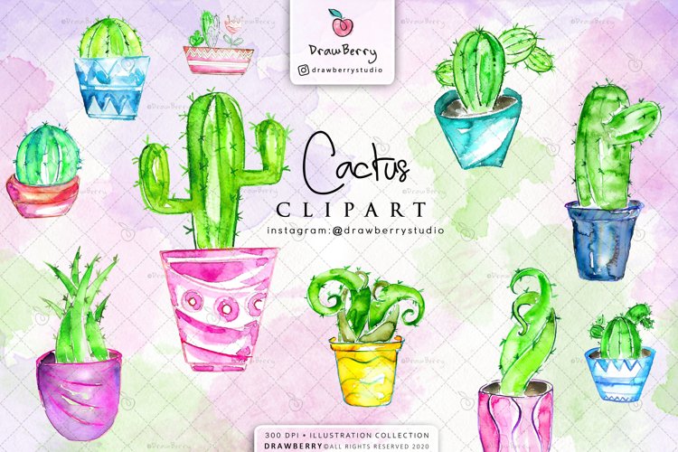 Watercolor Cactus Clipart in pots | Drawberry CP018