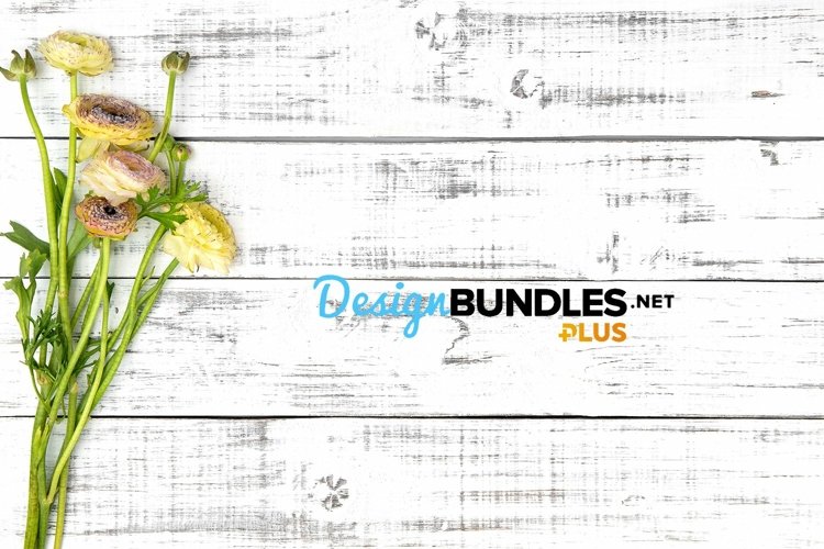 Floral template spring flowers wooden background stock photo