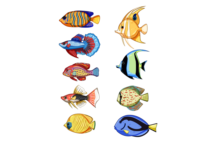 decorative fish set cartoon (6565092)