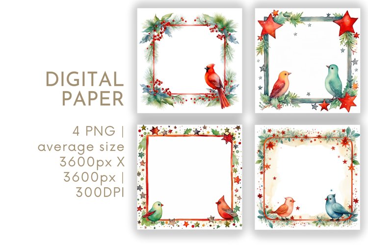 Christmas Birds Frame Digital Paper JPG