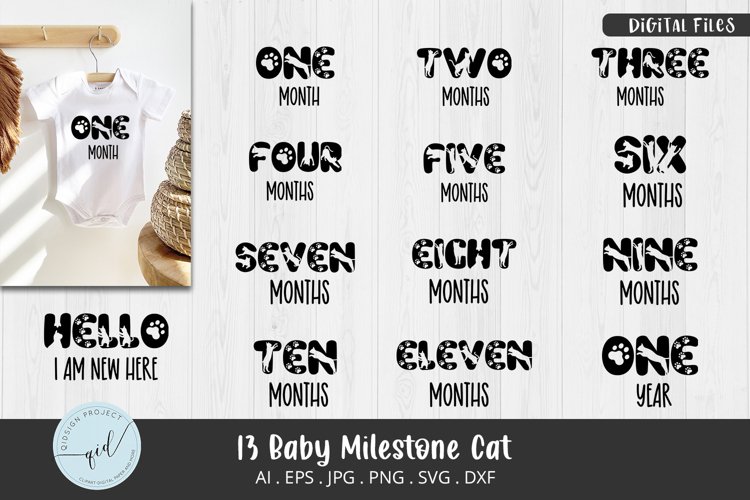 13 set Boho Baby Milestone SVG with feather ornaments