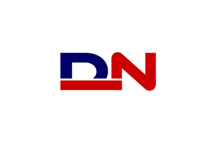 DN Logo design (2361651)