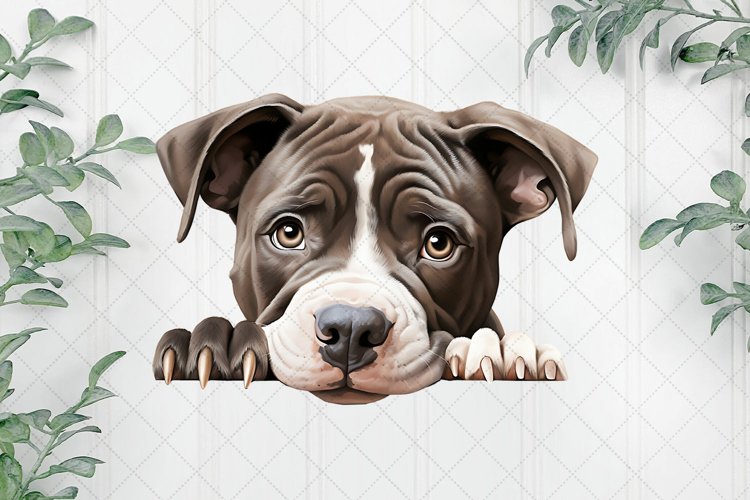 Peeking American Pit Bull Dogs Sublimation Clipart