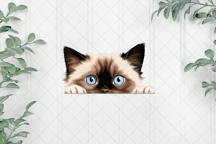 Peeking Birman Cat Sublimation Clipart