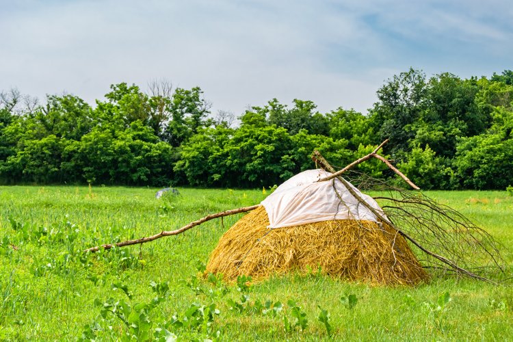 Photography on theme big dry haystack in grass farm field