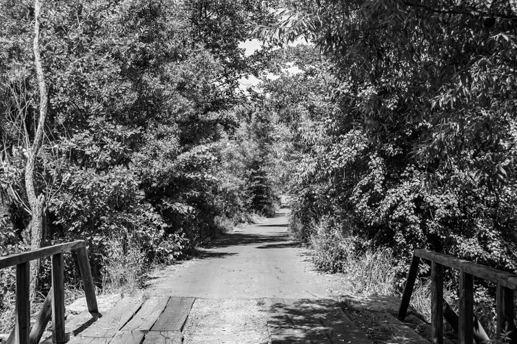 Beautifully standing old wooden bridge over river background