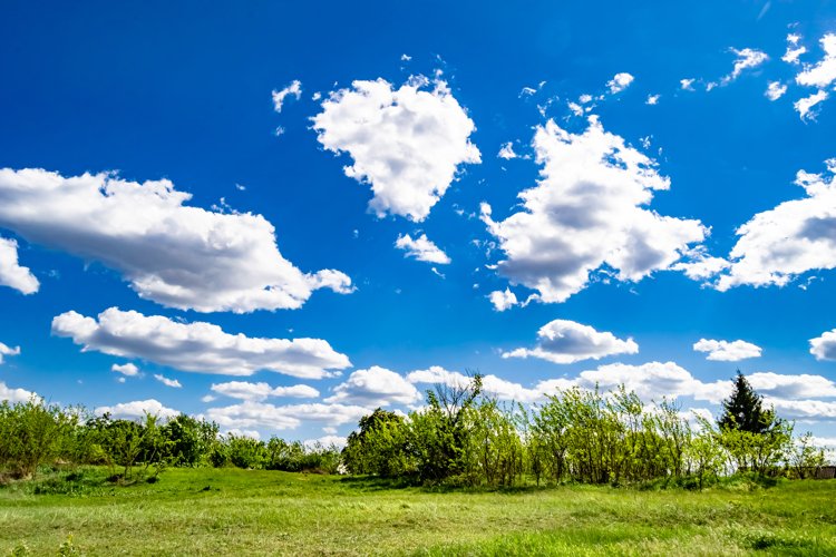 Beautiful horizon in village meadow on natural background