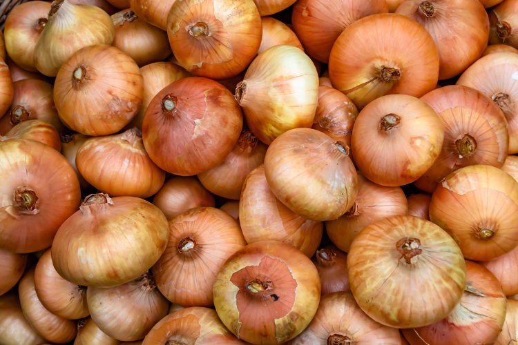 Beautiful onion vegetable plant with napiform skin