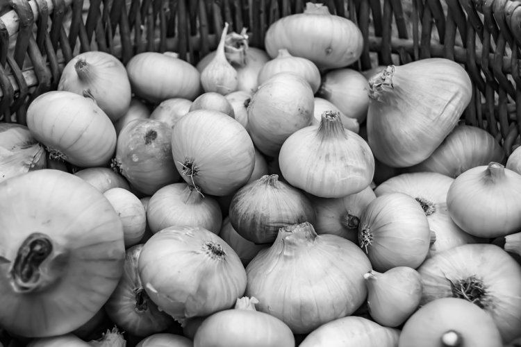 Beautiful onion vegetable plant with napiform skin