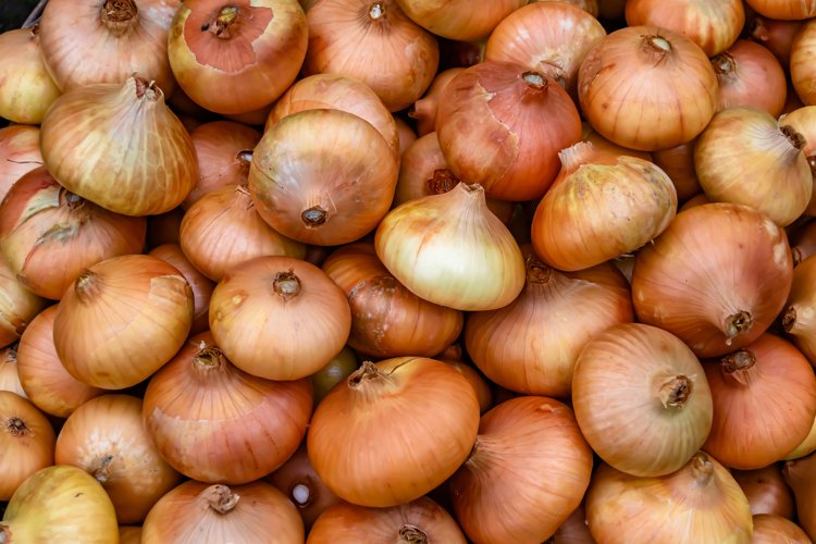 Beautiful onion vegetable plant with napiform skin