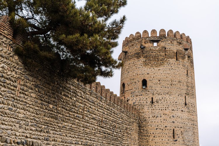 Anna Bogush | Font Bundles