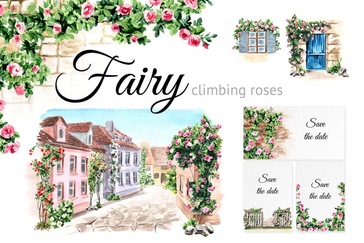 Fairy climbing roses