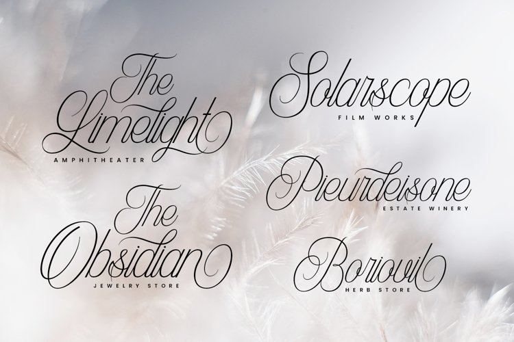 Free Script Fonts | Download Free Script Fonts Now