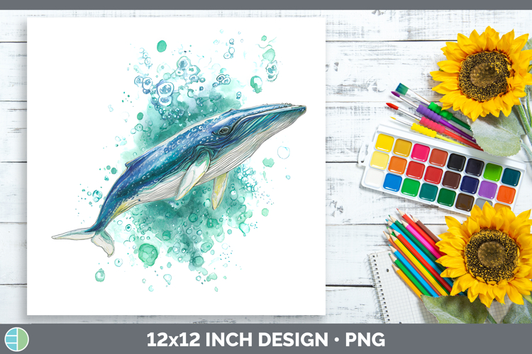 Bryde’s Whale Whales Sketch Paper Backgrounds Design