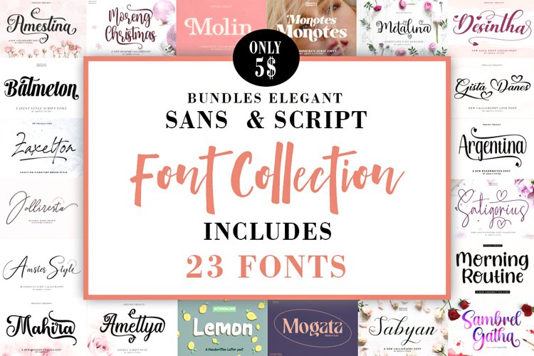 Elegant Sans & Script Font Collection (1954434)