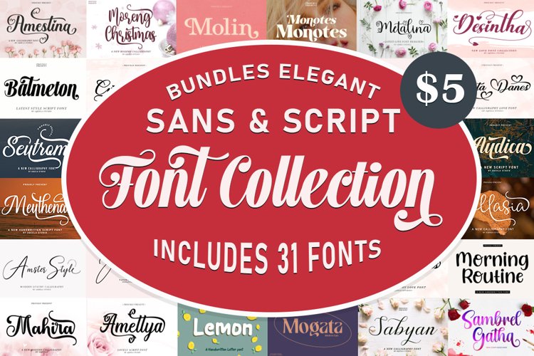 Elegant Sans & Script Font Collection (1954434)