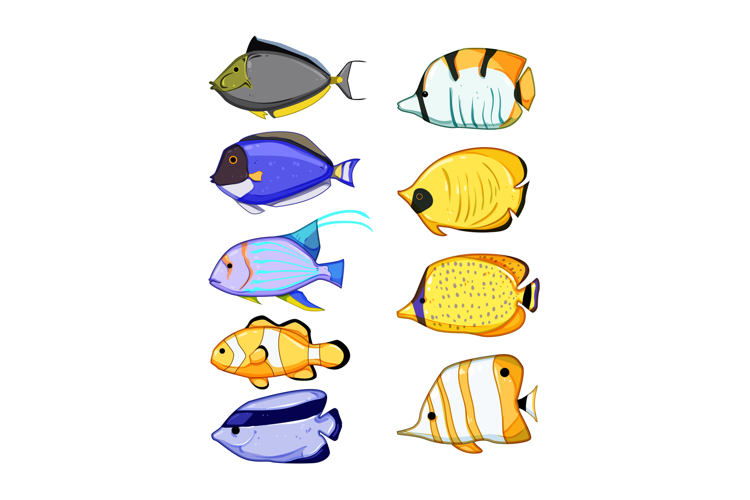 exotic fish set cartoon (6565441)