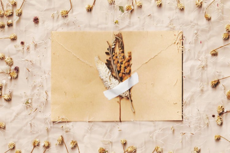 Envelope photo with textured paper background, (2478114)
