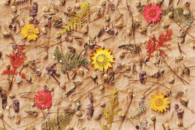 Photo of dried flowers and dried leaves on a textured paper