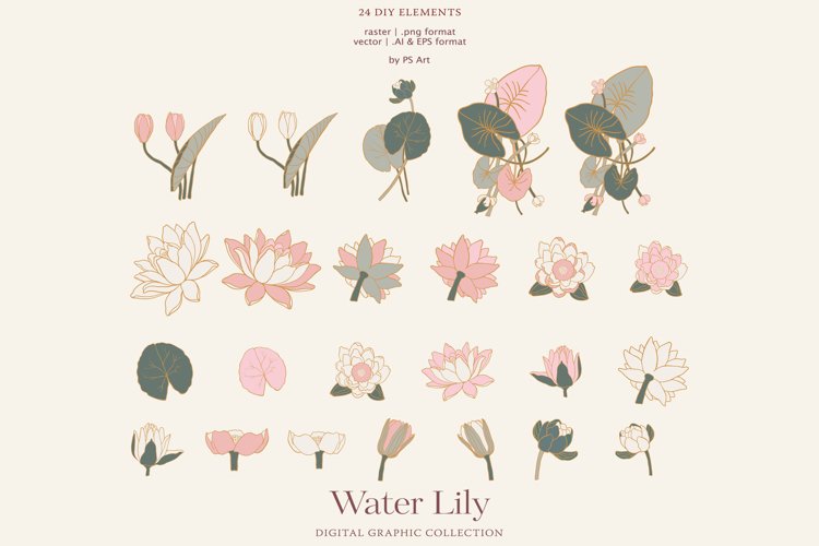 Water Lily Clipart & Patterns