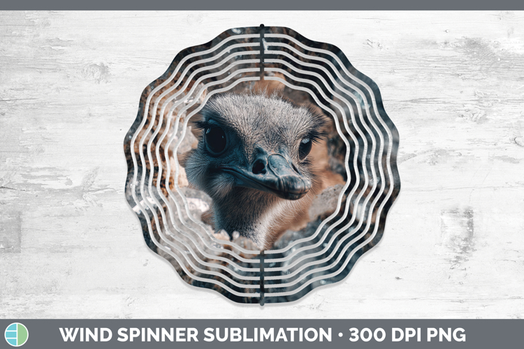 Farm Geode Ostrich Wind Spinner Sublimation Spinner Designs