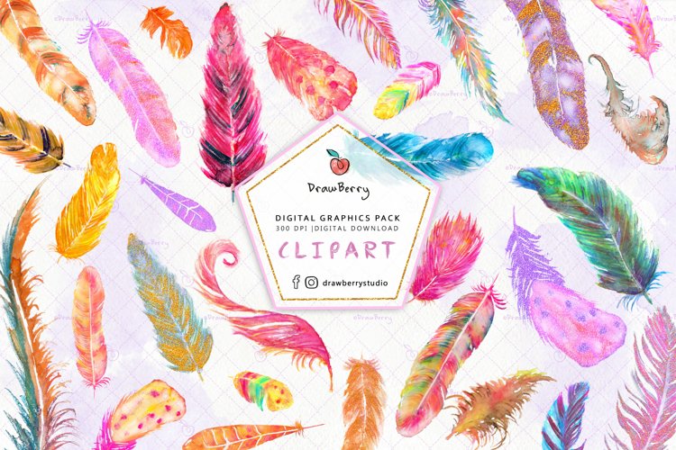 Watercolor Boho Feathers Clipart | Drawberry CP063