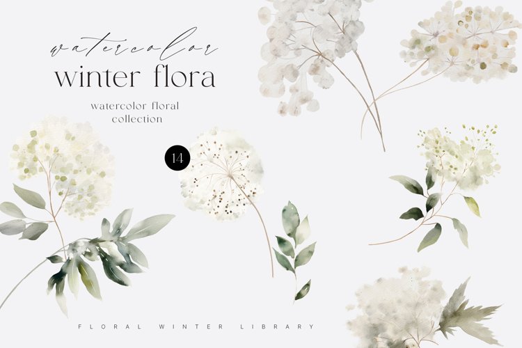Watercolor Winter Floral Clipart, Watercolor (3095840)