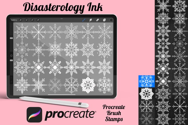 Winter Snowflake Procreate Brush Stamp, 24 Xmas Snowflakes